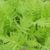 Cina - Homeopathic Medicine: Its Uses, Indications and Dosage